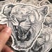 Lioness Sticker, Laptop Decal, Wall Art, Sticker Collection, Notebook ...