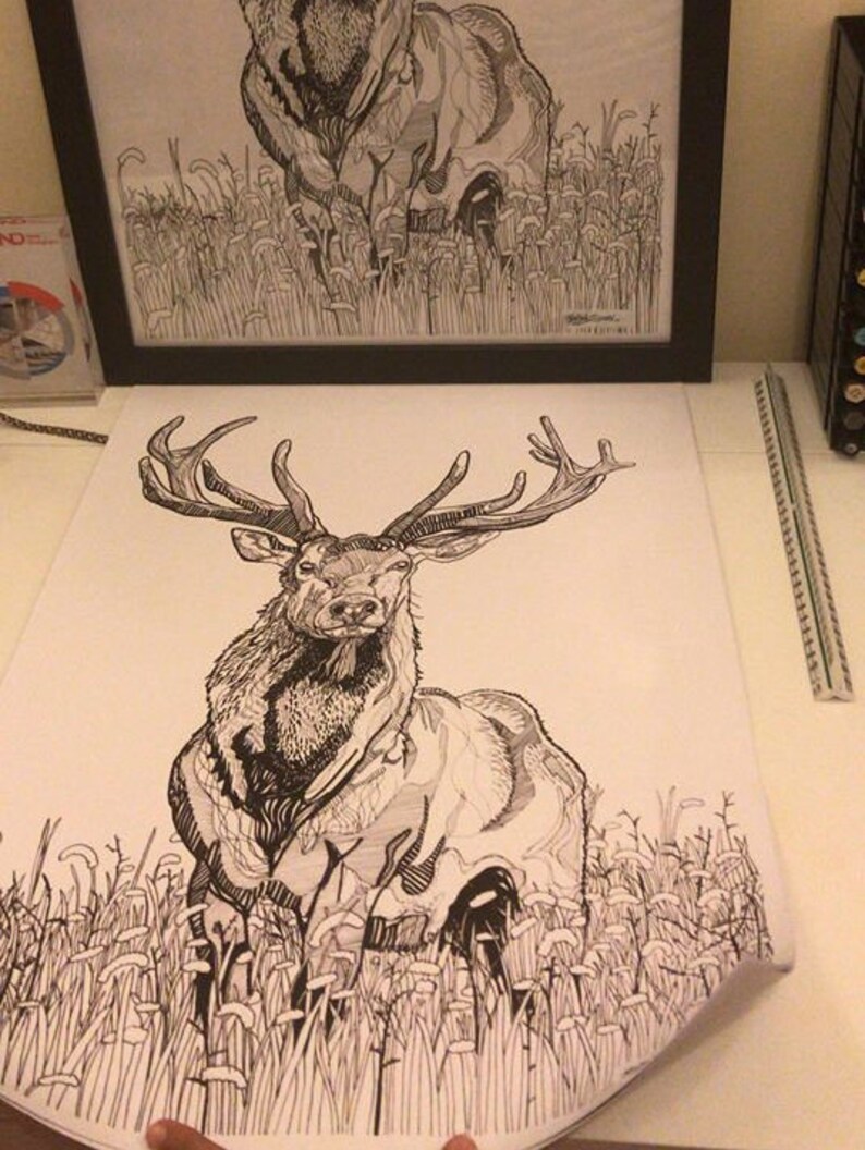 Deer in Grass Line Drawing, Large Print, Home Decor, Wall Art, Print ...