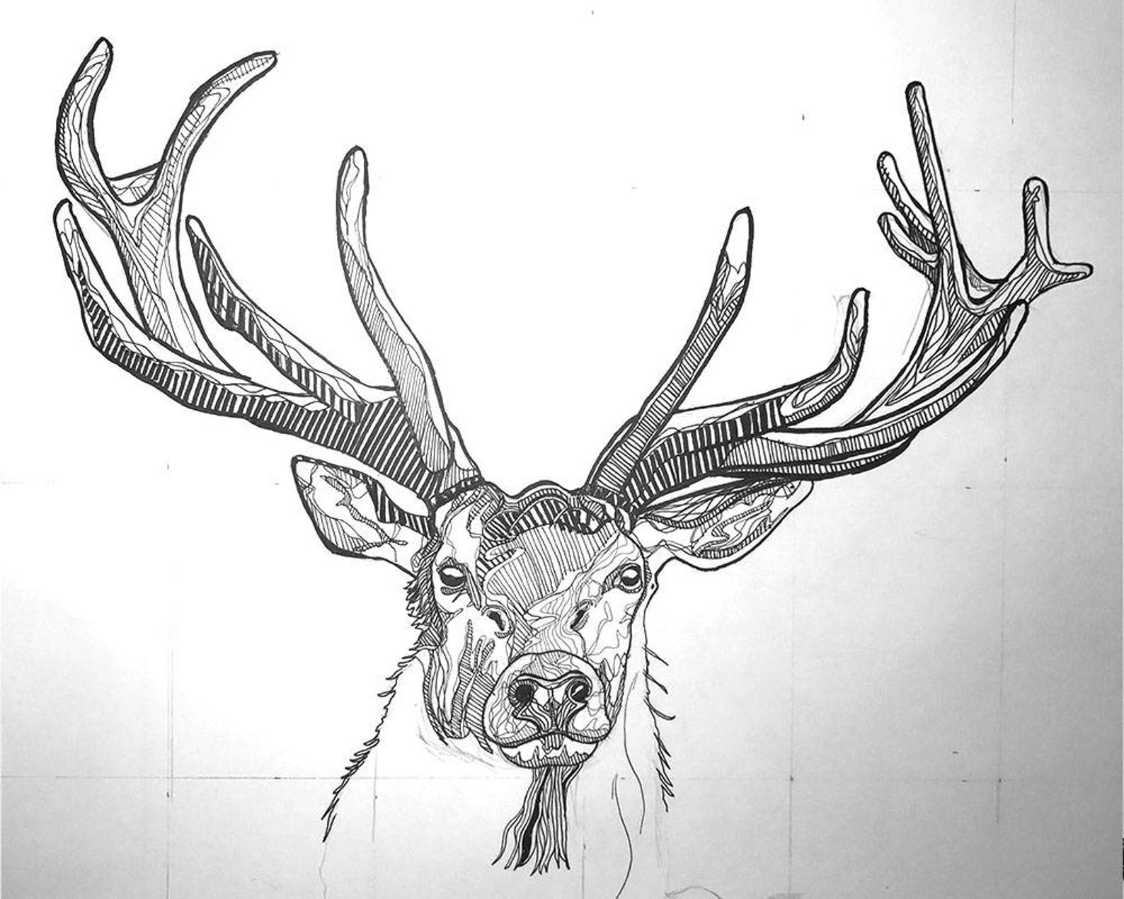 Deer in Grass Line Drawing Original Artwork Large Drawing - Etsy UK