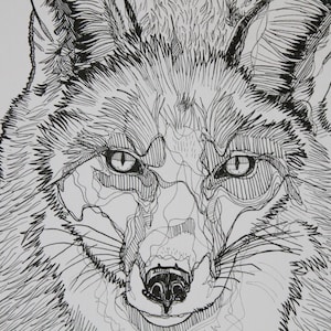 Original Fox Line Drawing, Black Pen Drawing, Fine Liners, Wall Decor ...