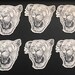 Lioness Sticker, Laptop Decal, Wall Art, Sticker Collection, Notebook ...
