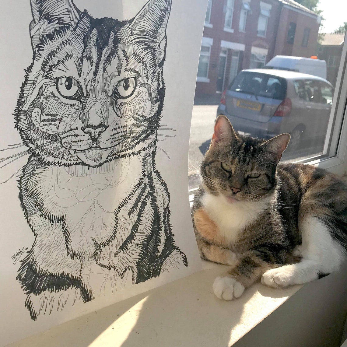 Custom Pet Line Drawing Pet Portrait Commission Drawing | Etsy UK