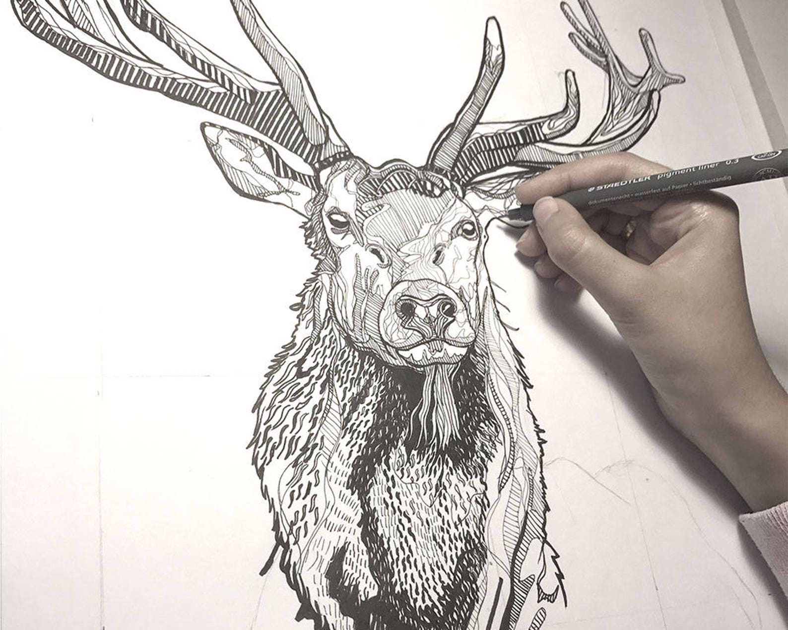 Deer in Grass Line Drawing Original Artwork Large Drawing - Etsy UK