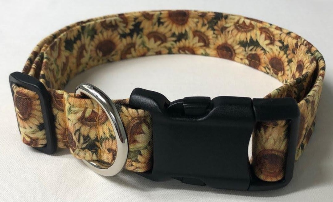Dog Collar, Sunflowers, Sunflower, Sunflower Dog Collar, Sunflower ...