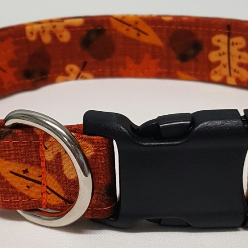 Fall Dog Collar - Etsy