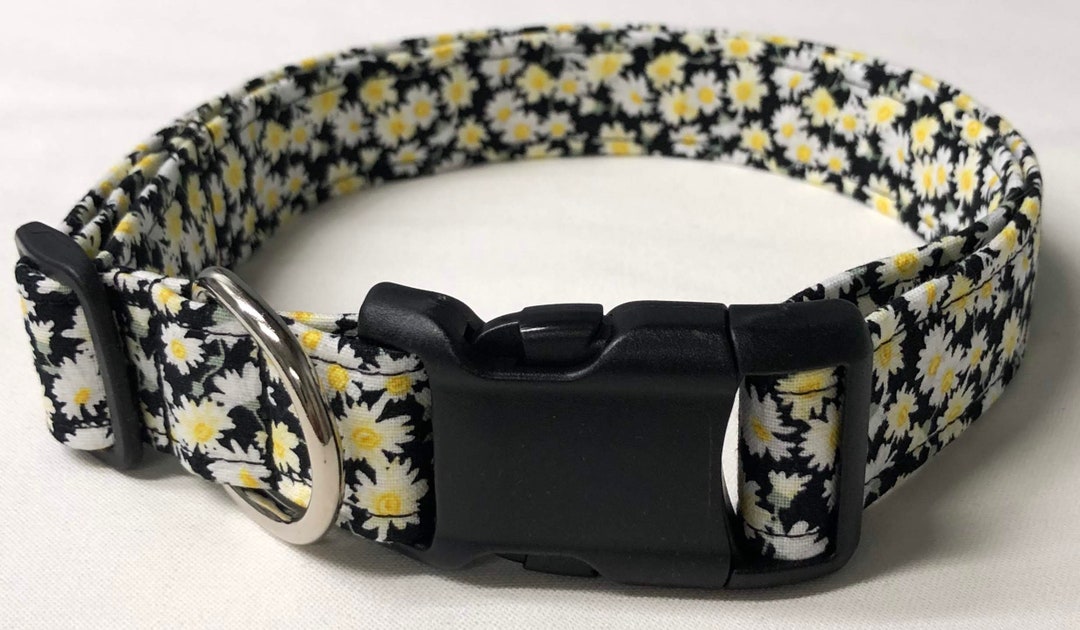 Dog Collar, Black Mini Daisies, Daisy, Daisies, Daisy Dog Collar, Daisy ...