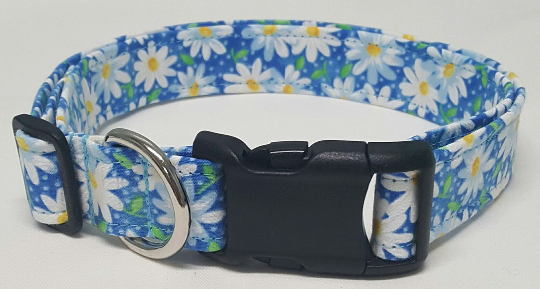 Dog Collar, Blue Daisy, Daisy, Daisies, Flowers, Daisy Dog Collar ...