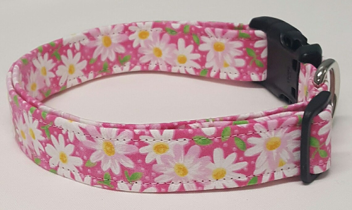 Dog Collar Pink Daisy Daisy Daisies Floral Floral Dog | Etsy