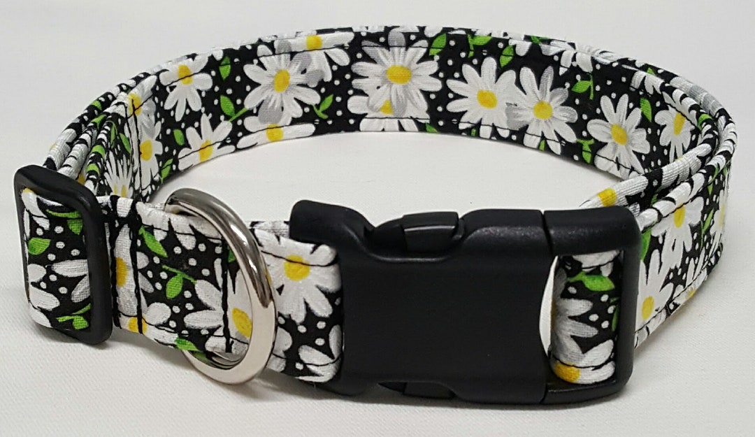 Dog Collar, Black Daisy, Black Daisies Dog Collar, Daisy Dog Collar - Etsy