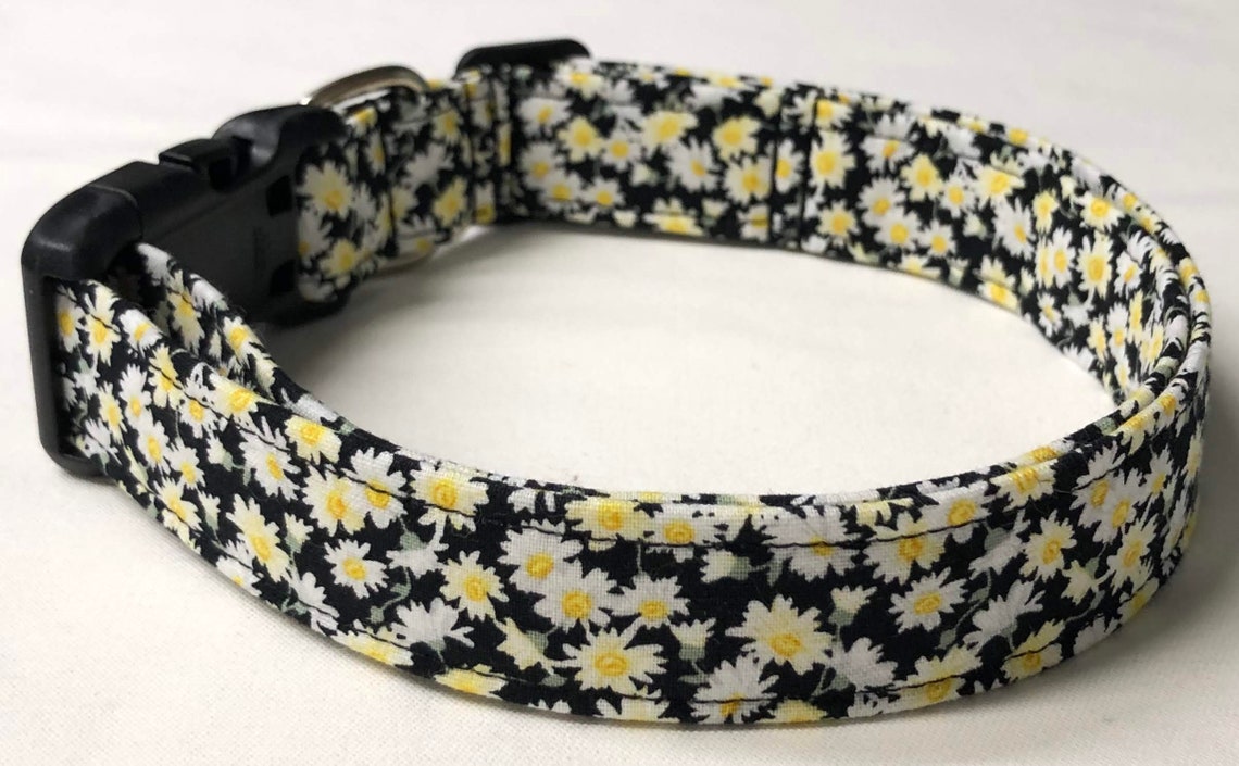 Dog Collar Black Mini Daisies Daisy Daisies Daisy Dog - Etsy