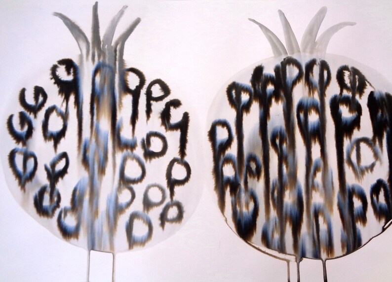 Modern Ink Drawing Original Pomegranate Art A2 Interior - Etsy