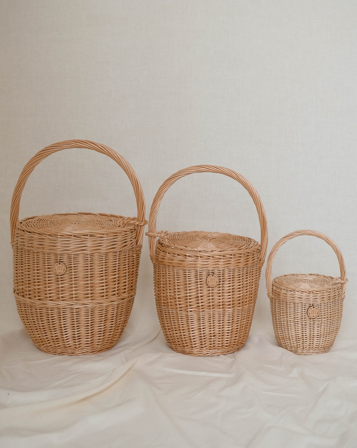 Small Trendy Straw Basket With Lid Jane Birkin Style Modern - Etsy
