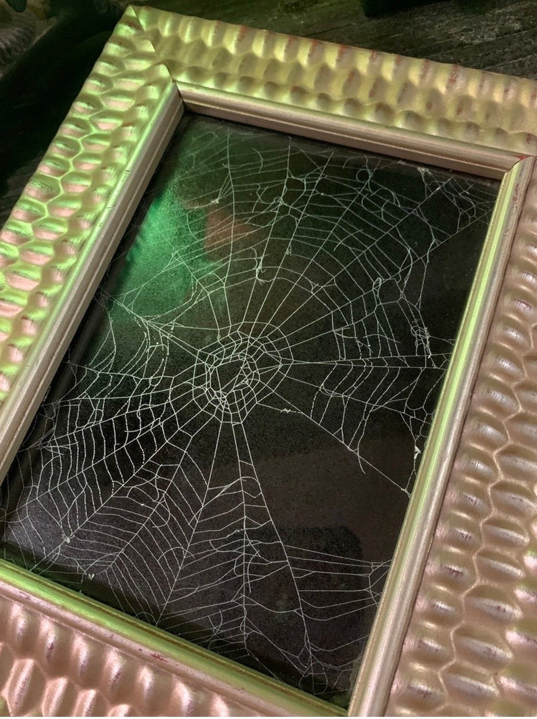 Gold Framed REAL Spiderweb, One of a Kind. - Etsy