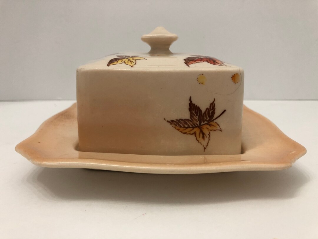 Rare Royal Winton Butter Dish With Fall Motif #1002 - Etsy