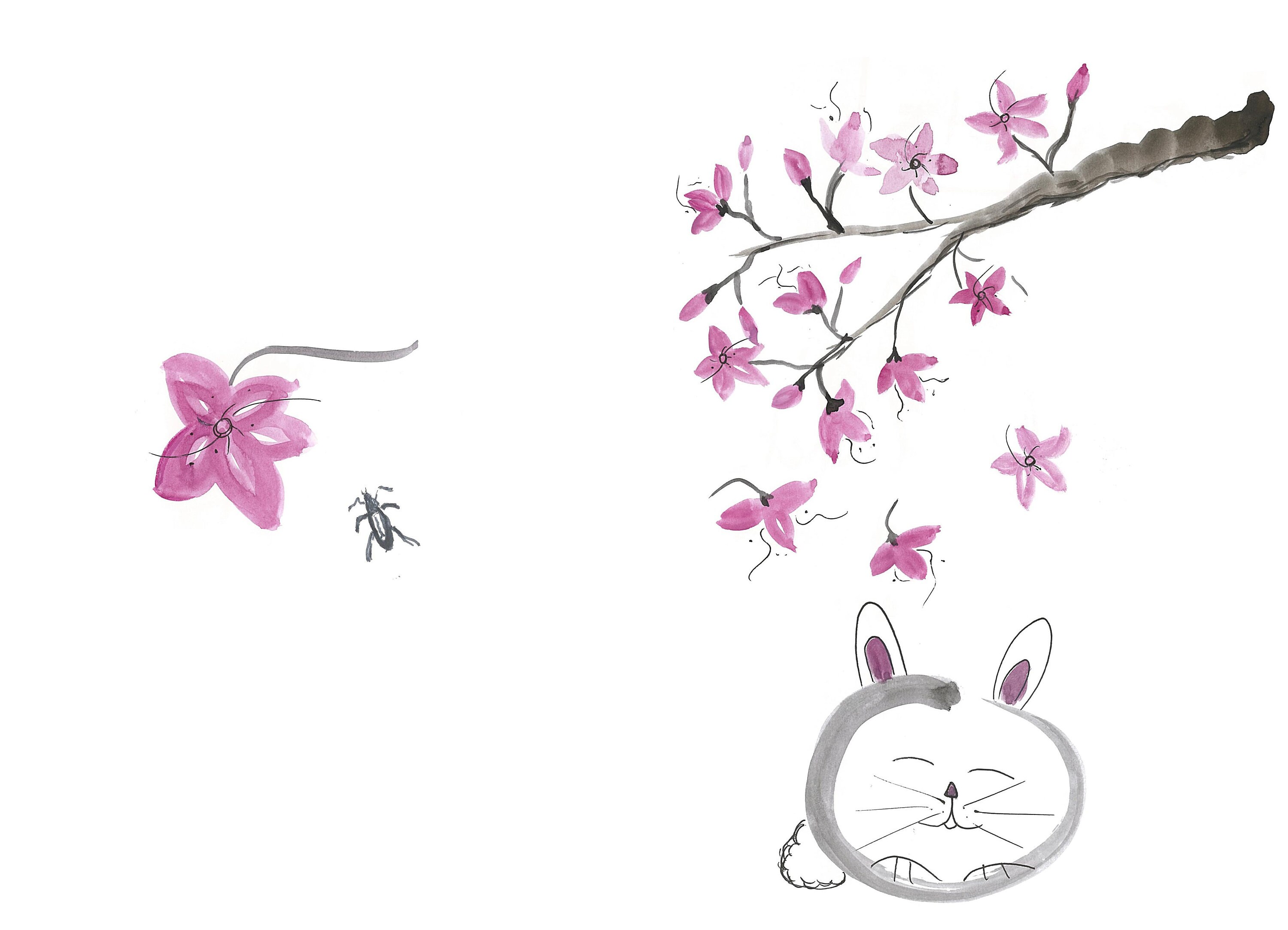 Zen Bunny - Book - Etsy