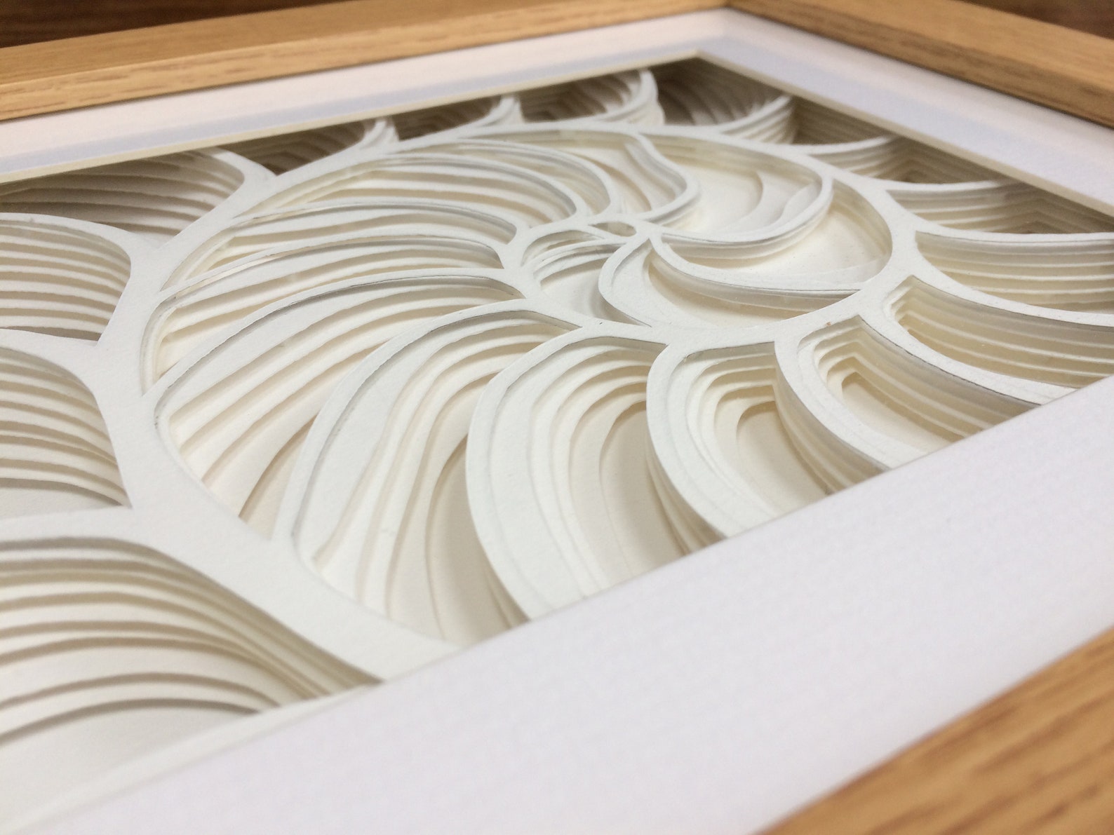 Nautilus, Ammonite, Papercut, Template, Diy Template, Layered Papercut ...
