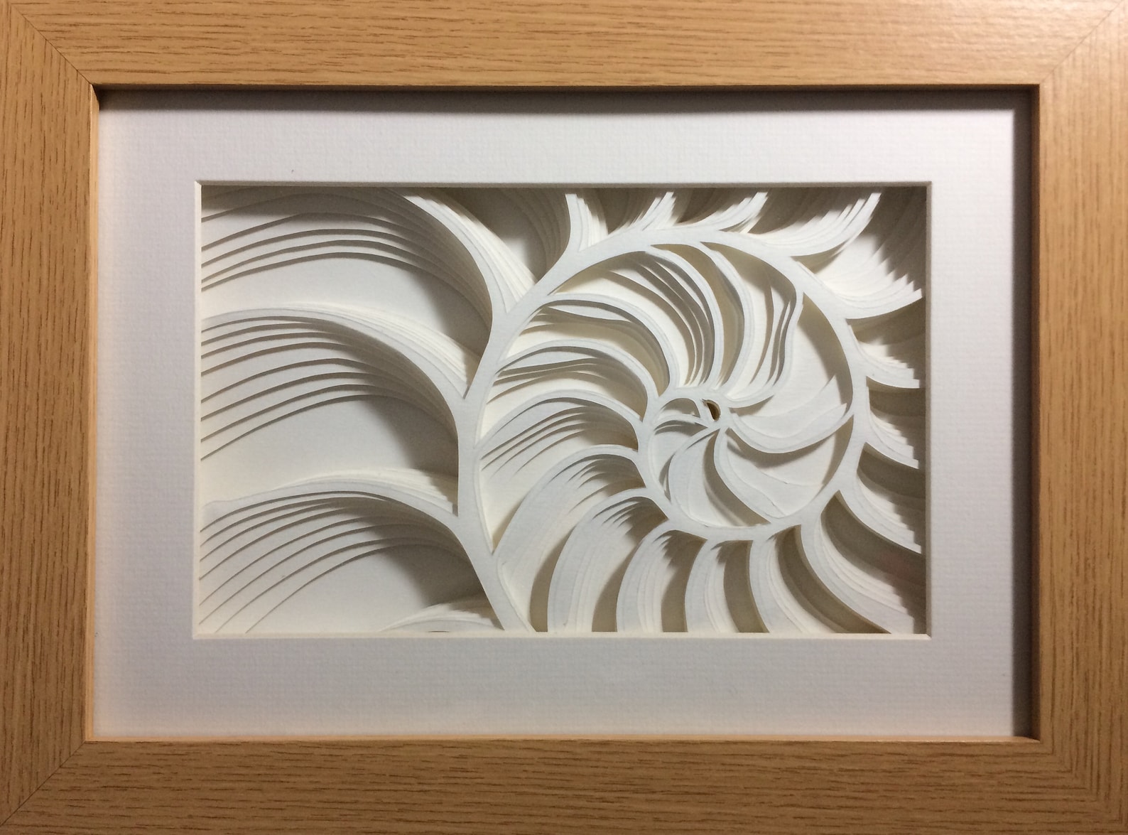 Nautilus, Ammonite, Papercut, Template, Diy Template, Layered Papercut ...