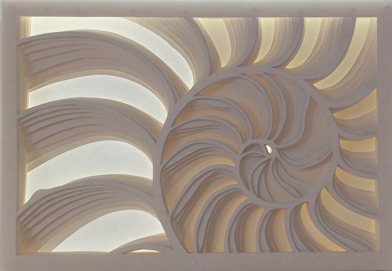 Nautilus, Ammonite, Papercut, Template, Diy Template, Layered Papercut ...