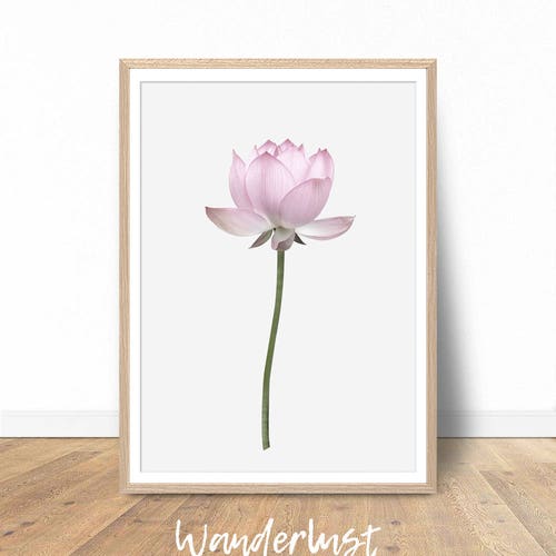 Lotus Flower Print Floral Photography Download Digital Print - Etsy