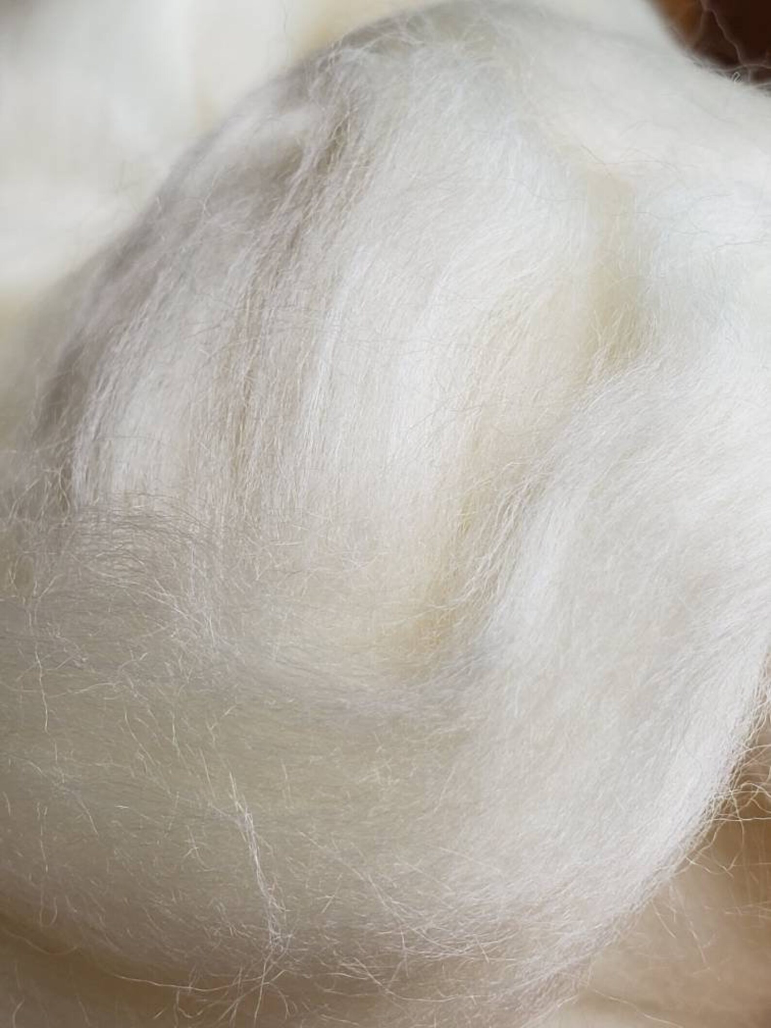 S. American Wool Bamboo 70/30 Blend Combed Top | Etsy