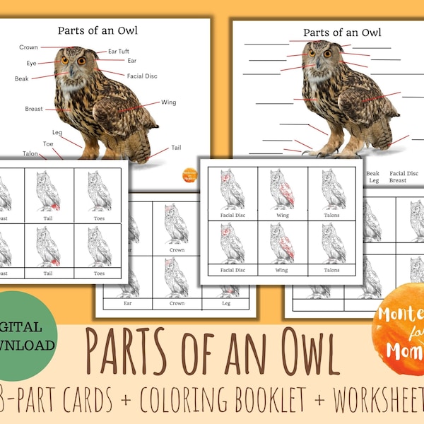 Homeschool Science - Etsy