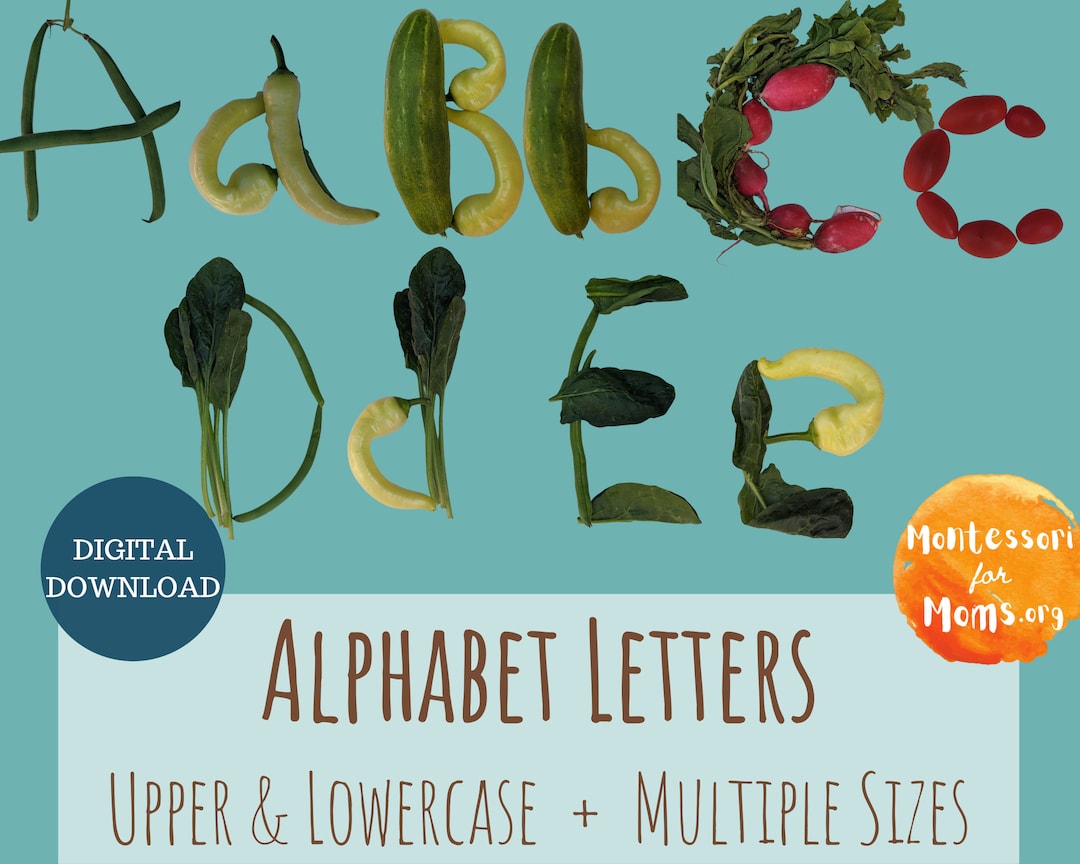 Garden Plant Letter Cards Language Reading Recognition Printable ...