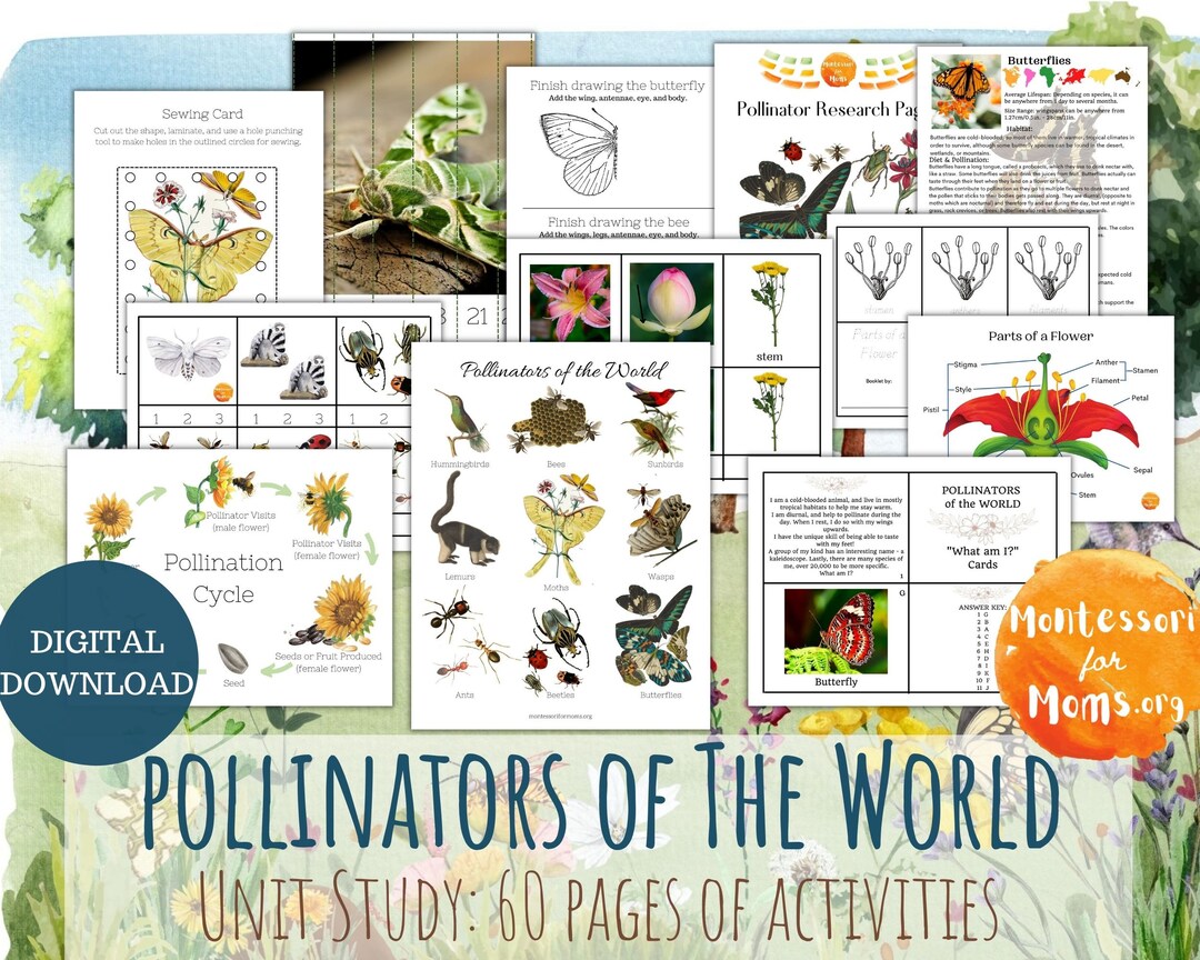 Pollinators of the World Unit Study Montessori Homeschool Printable 3 ...