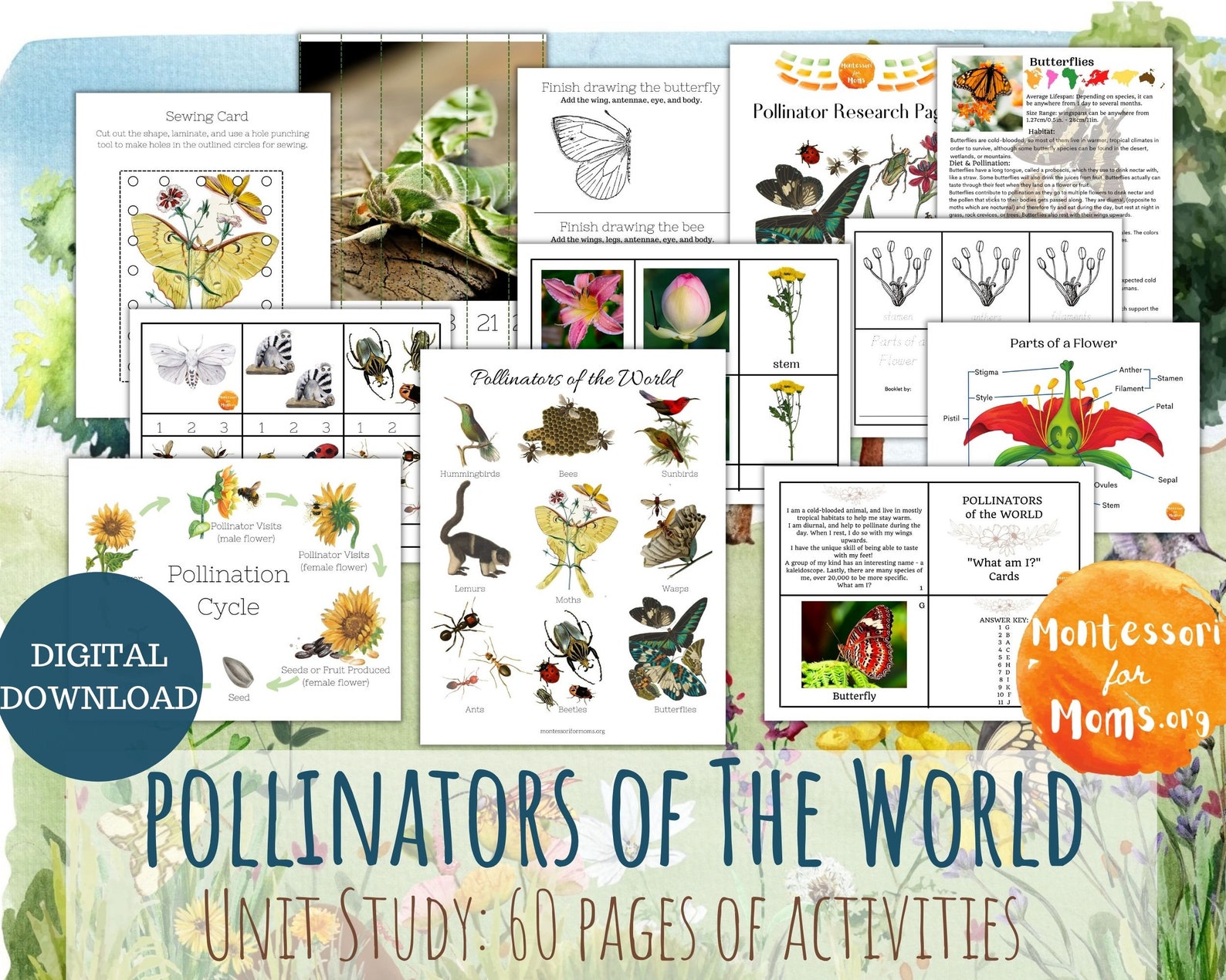 Pollinators of the World Unit Study Montessori Homeschool Printable 3 ...