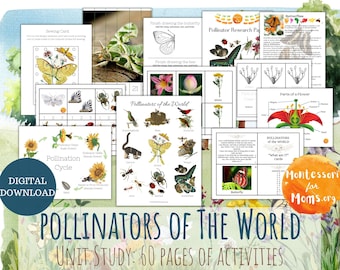 Pollination 3 Part Cards - Etsy