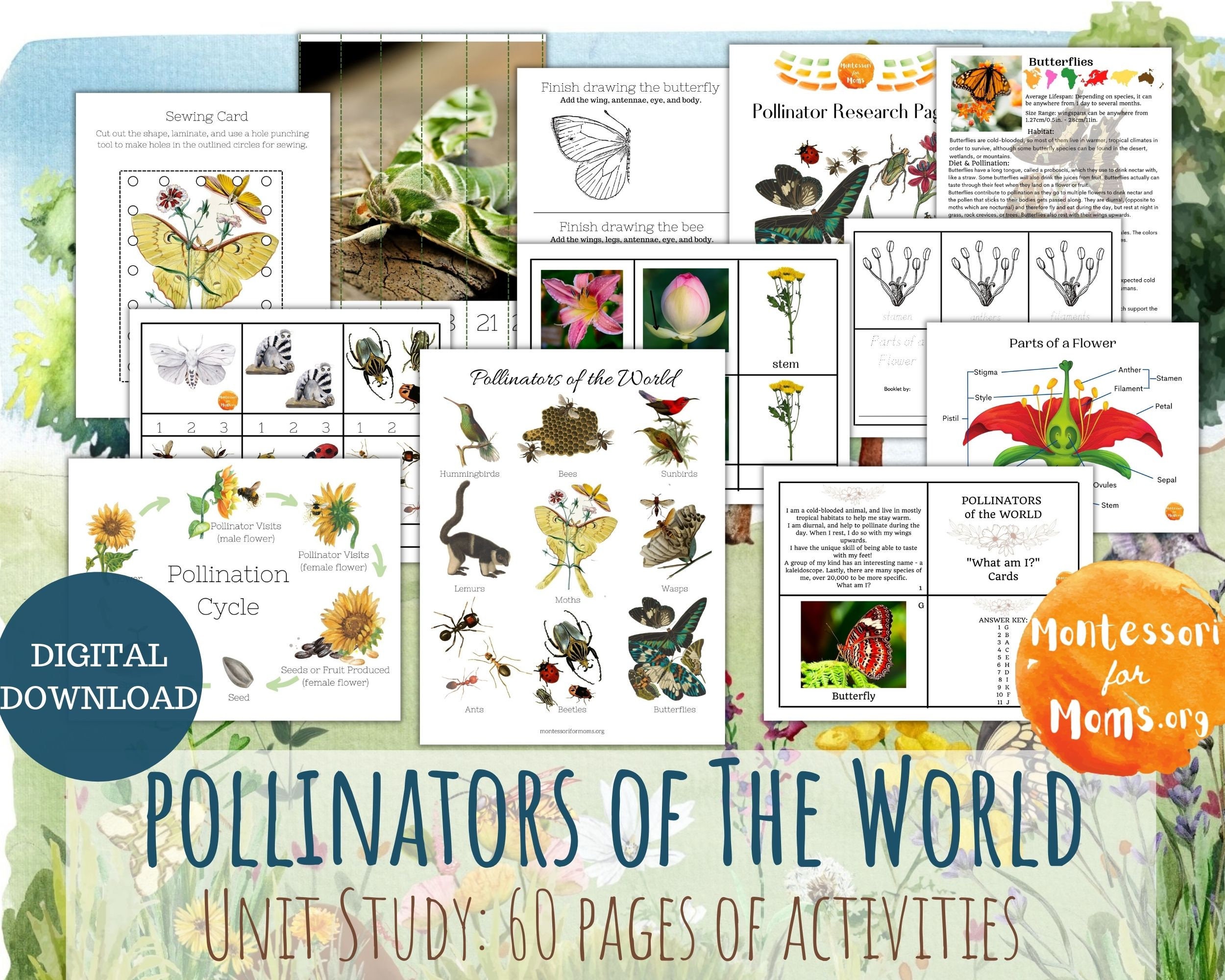 Pollinators of the World Unit Study Montessori Homeschool Printable 3 ...