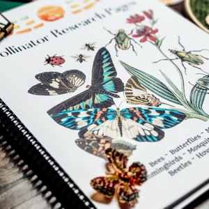 Pollinators of the World Unit Study Montessori Homeschool Printable 3 ...