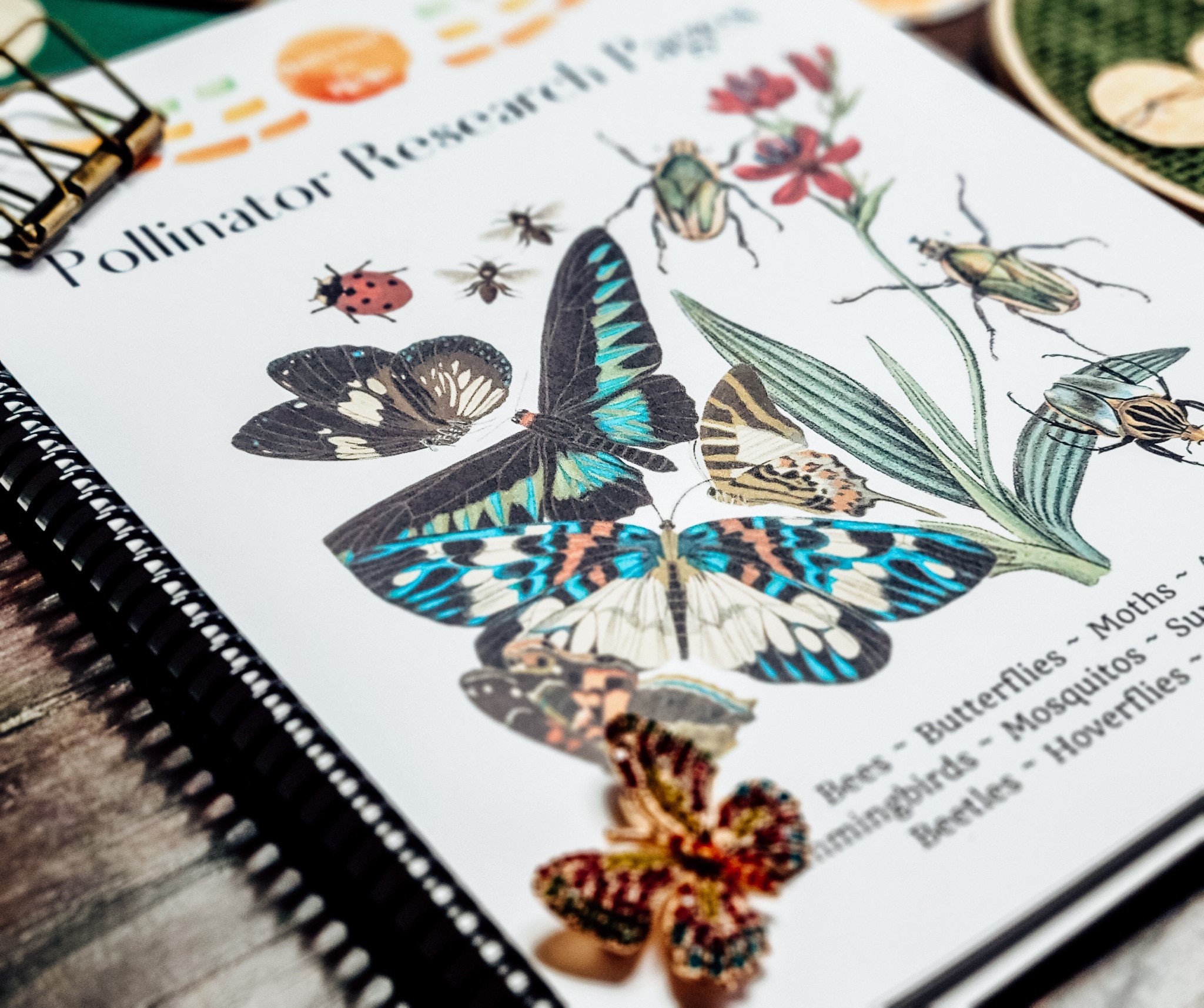 Pollinators of the World Unit Study Montessori Homeschool Printable 3 ...