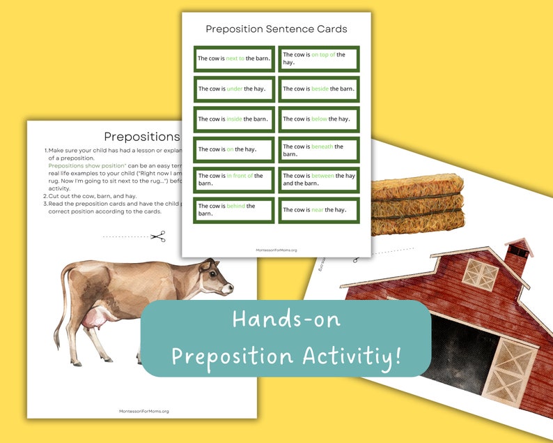 Dairy Cow Unit Study Montessori Homeschool Science Printable Nature ...