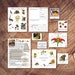 Pollinators of the World Unit Study Montessori Homeschool Printable 3 ...