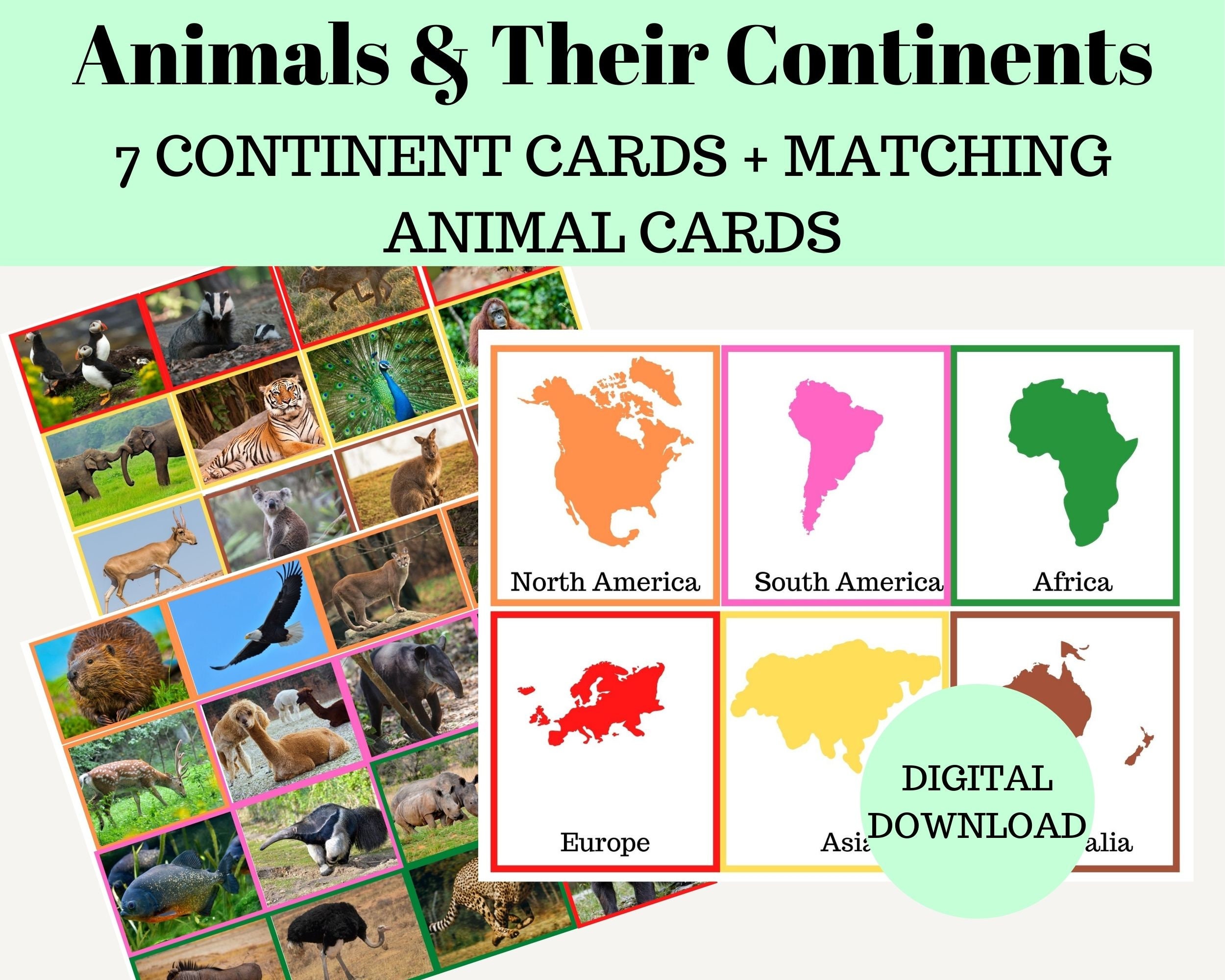 Animals and Their Continents Cards Printable Preschool Kindergarten ...