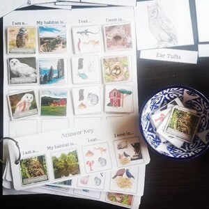 Owls in the World Unit Study Montessori Homeschool Printable 3 Part ...