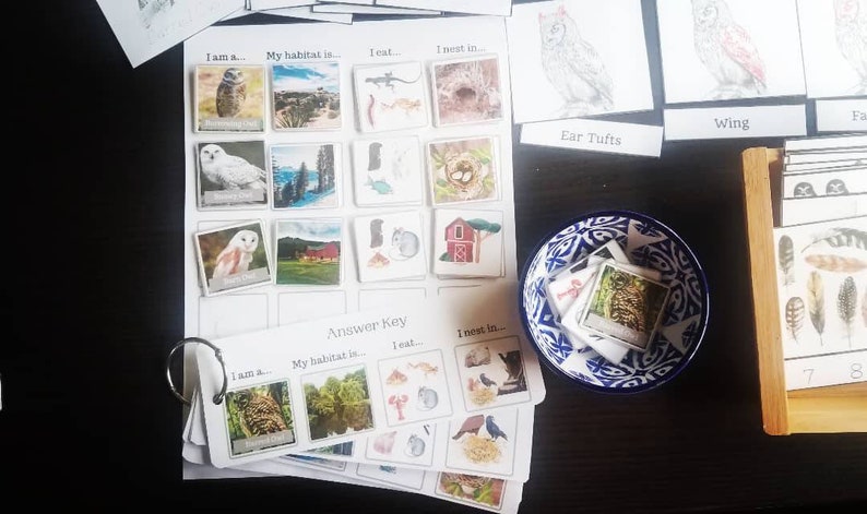 Owls in the World Unit Study Montessori Homeschool Printable 3 - Etsy