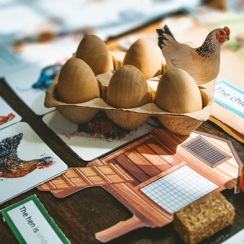 Chicken Unit Study Montessori Homeschool Science Printable 3 Part Cards ...