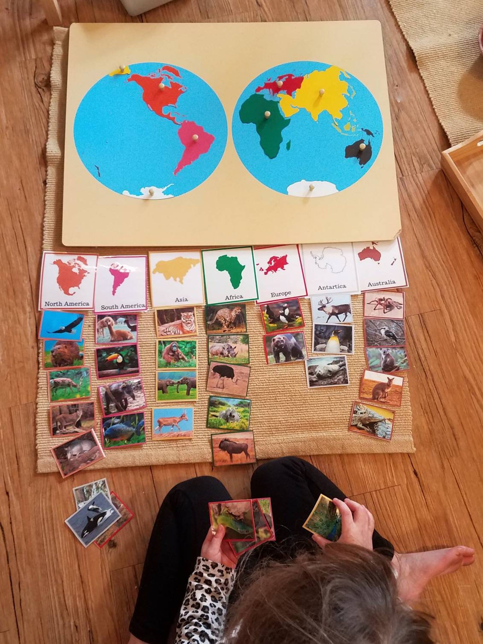 Animals and Their Continents Cards Printable Preschool Kindergarten ...