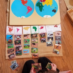 Animals and Their Continents Cards Printable Preschool Kindergarten ...