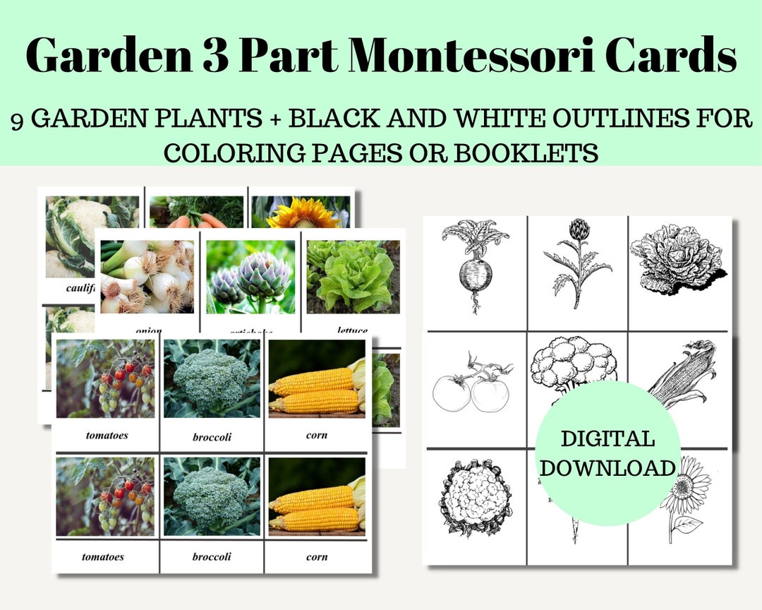 Garden Plant 3-part Cards Printable Preschool Kindergarten Montessori ...