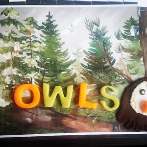 Owls in the World Unit Study Montessori Homeschool Printable 3 Part ...