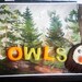 Owls in the World Unit Study Montessori Homeschool Printable 3 - Etsy