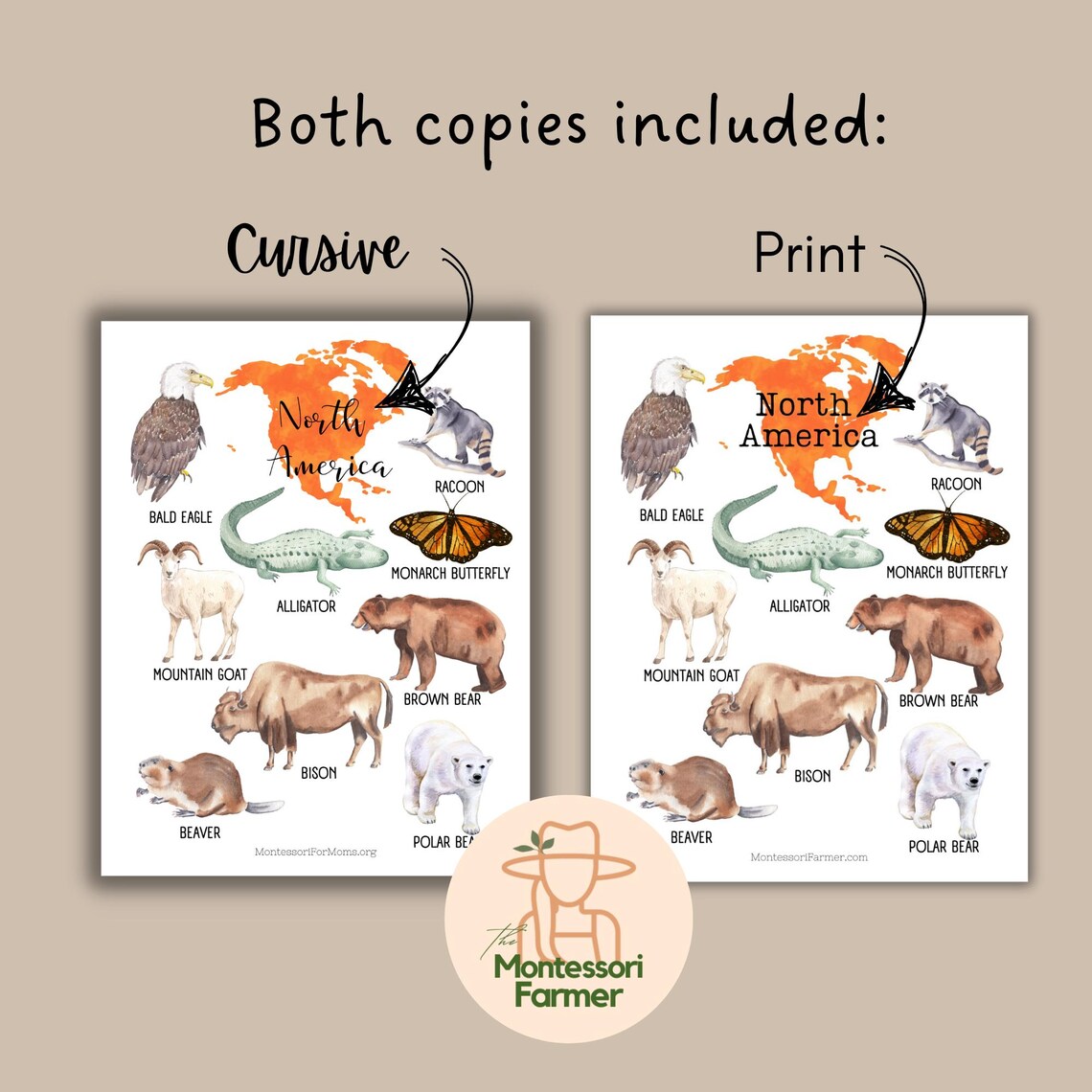 Animals and Their Continents Posters Printable Preschool Kindergarten ...