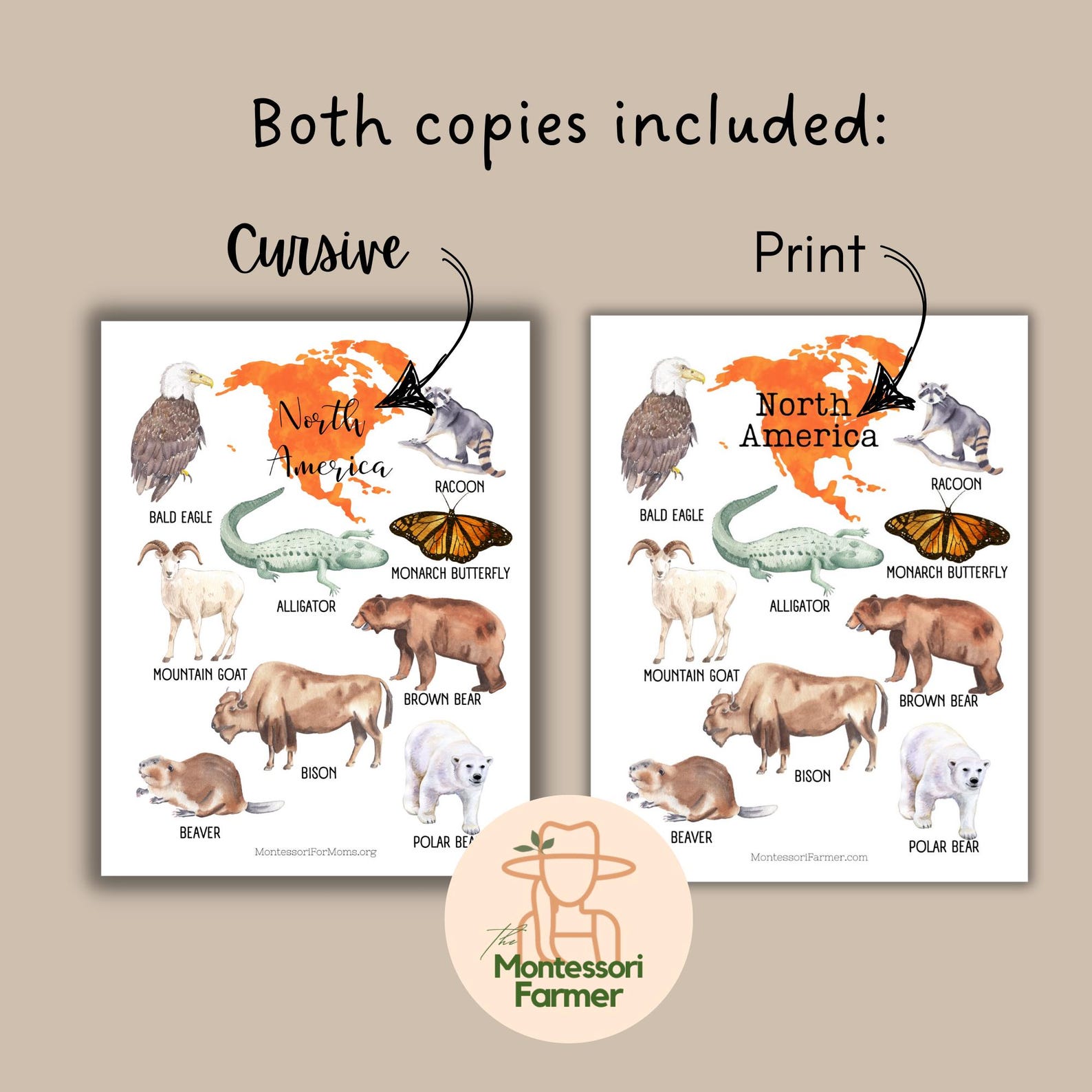 Animals and Their Continents Posters Printable Preschool Kindergarten ...