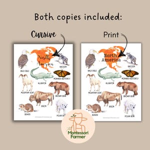 Animals and Their Continents Posters Printable Preschool Kindergarten ...