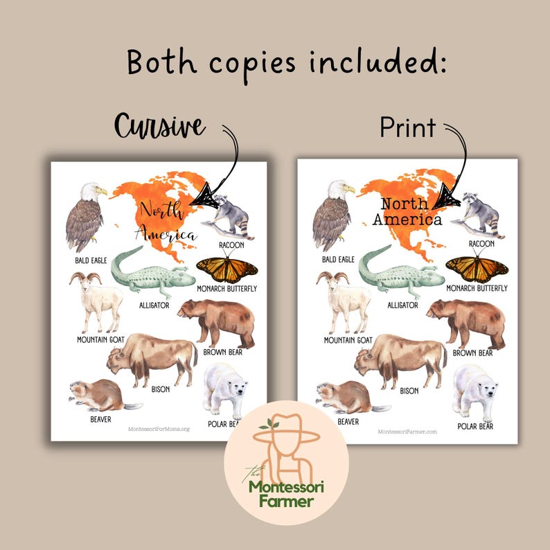 Animals and Their Continents Posters Printable Preschool Kindergarten ...