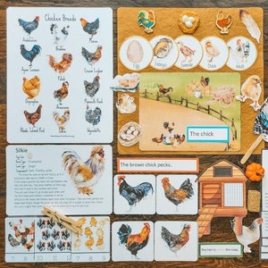 Chicken Unit Study Montessori Homeschool Science Printable 3 Part Cards ...