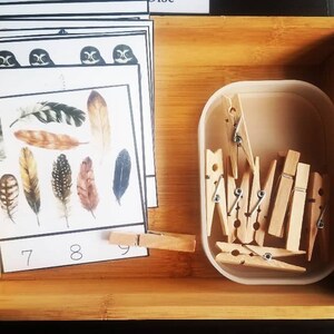 Owls in the World Unit Study Montessori Homeschool Printable 3 Part ...