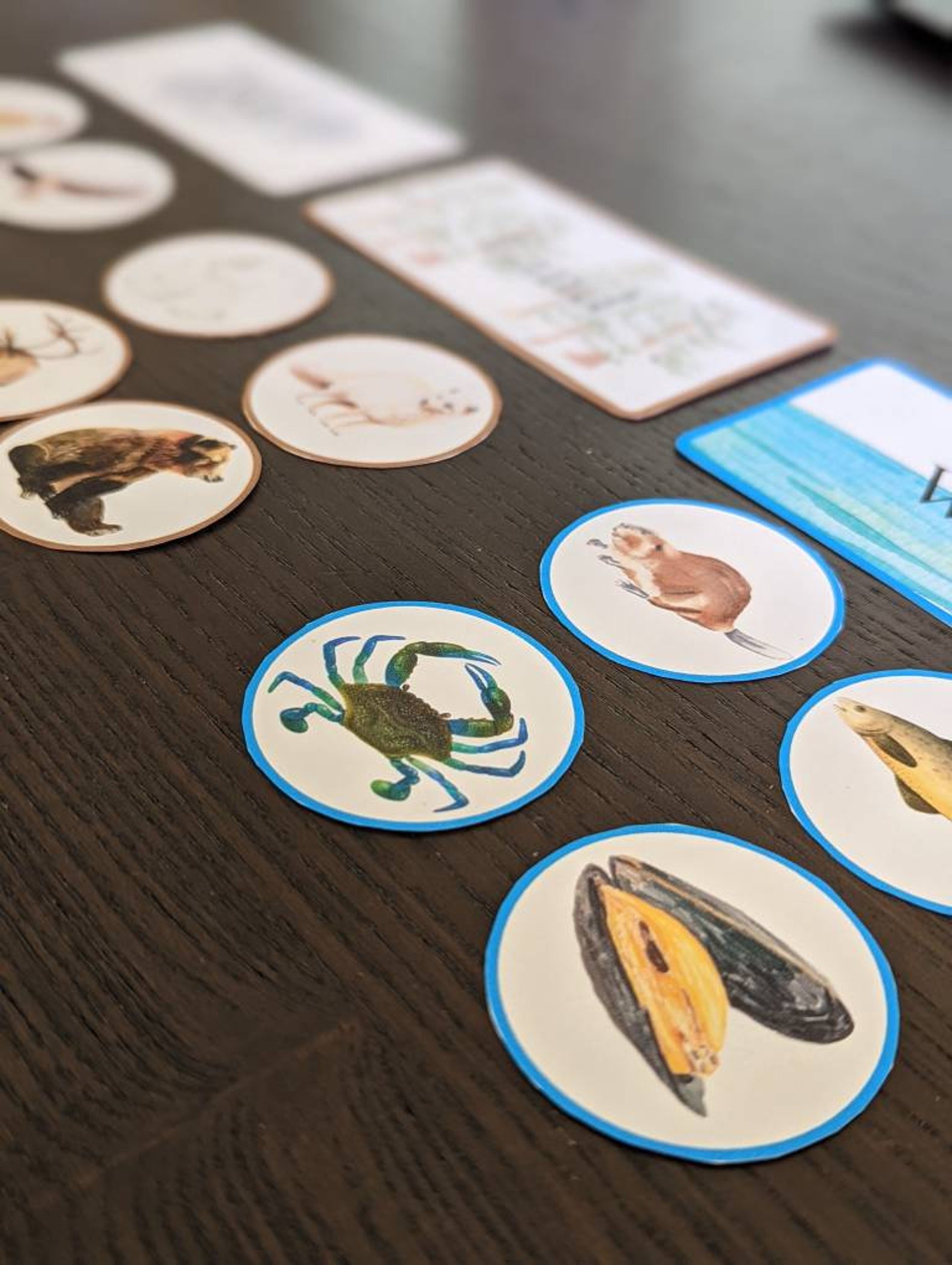 Land Water Air Winter Themed Montessori Sorting Cards Printable ...